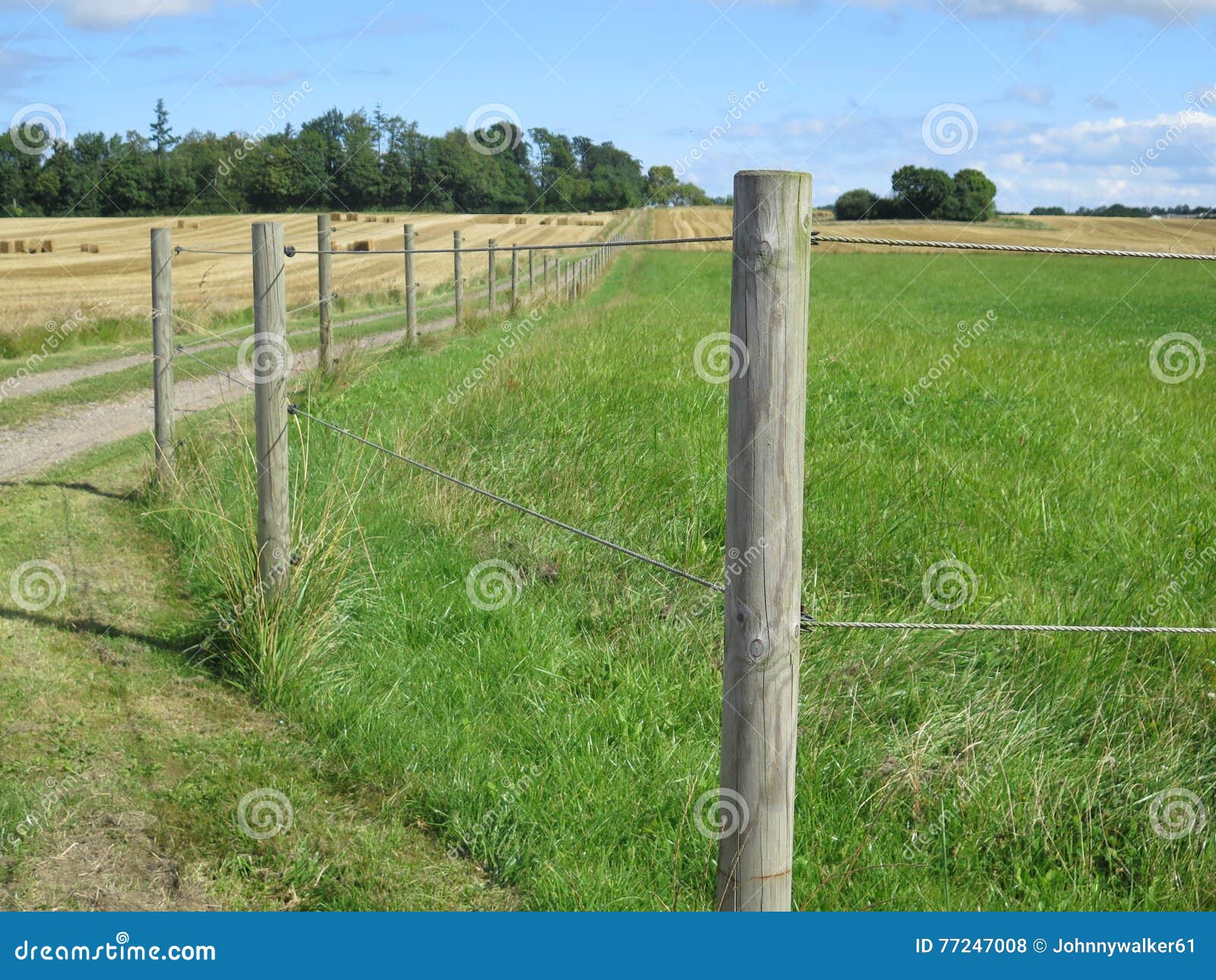 Fenced in field stock photo. Image of wire, denmark, harvest - 77247008