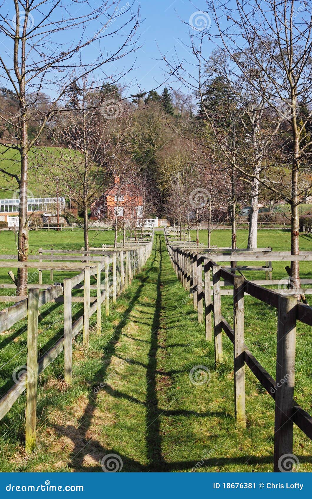 Fenced Footpath through an English Meadow Stock Image - Image of ...