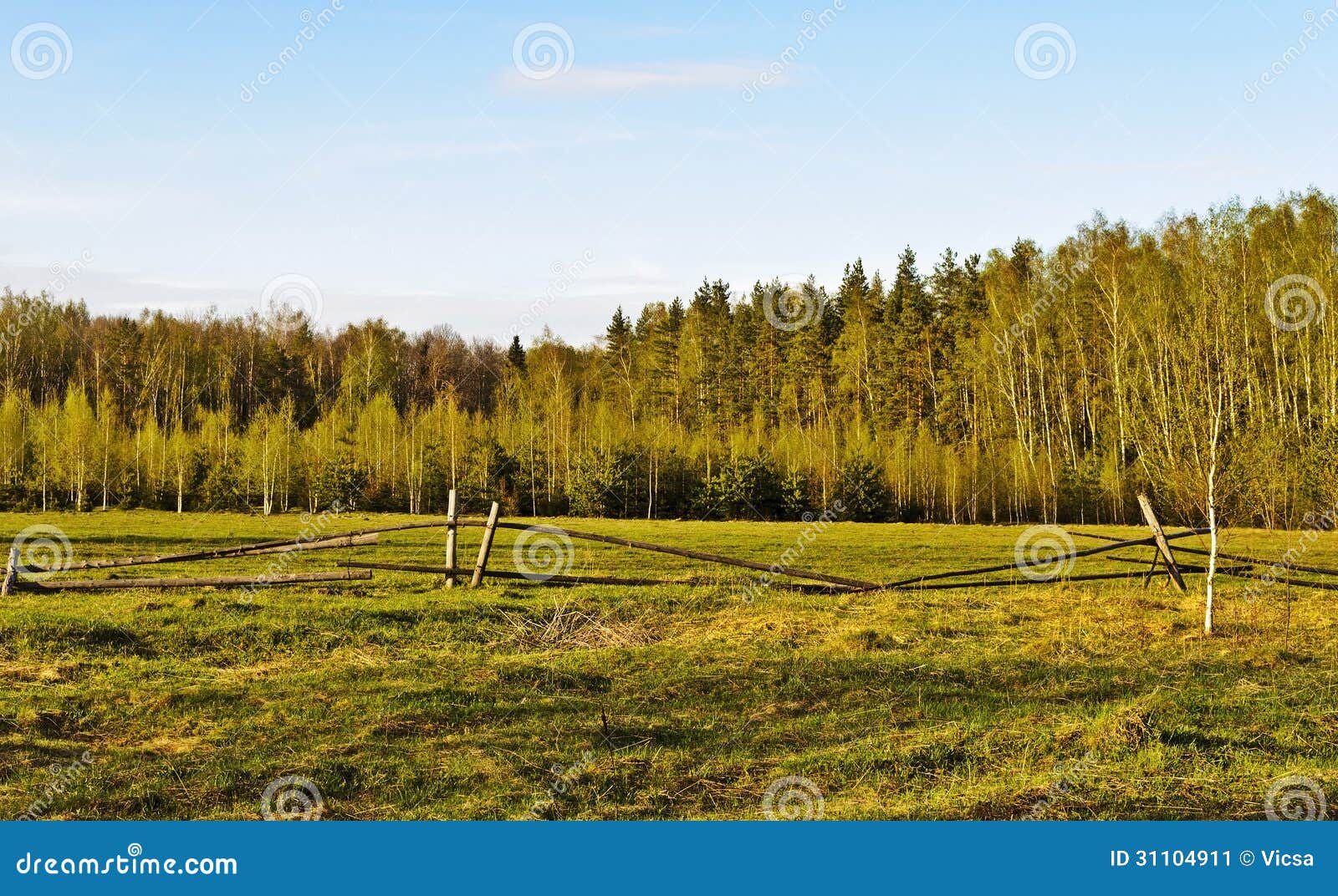 Fenced Green Pasture in a Forest Stock Image - Image of sunset, field ...