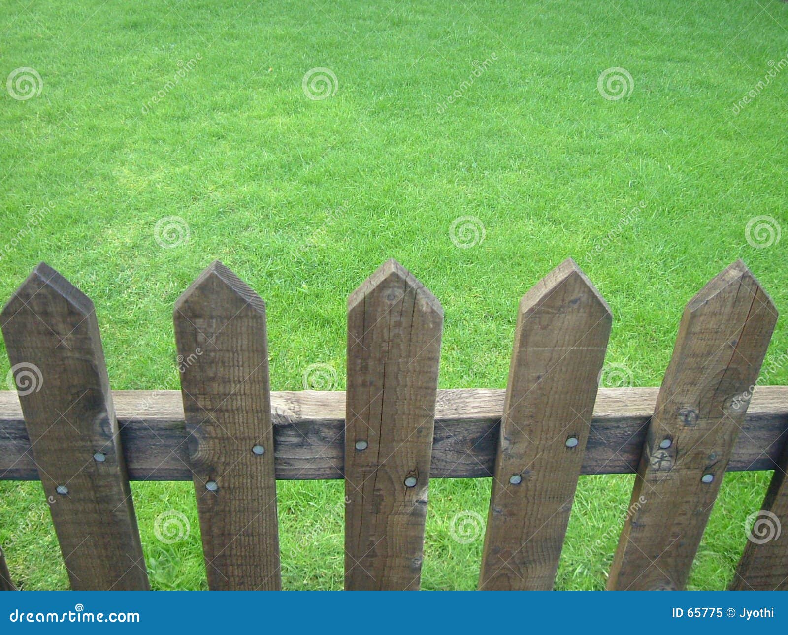 Fenced lawn stock image. Image of fence, lawn, fresh, shaped - 65775