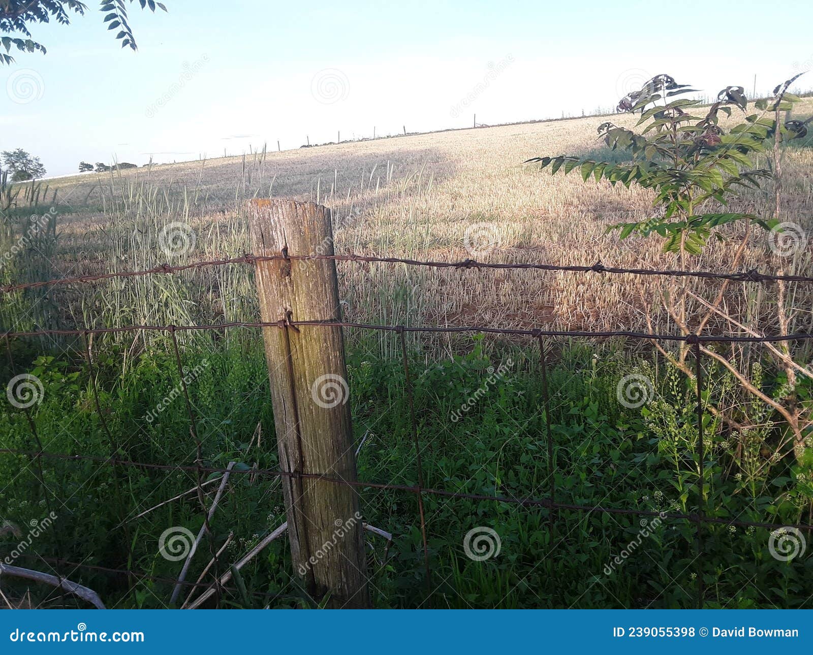 Fenced Meadow Pasture stock photo. Image of fenced, pasture - 239055398
