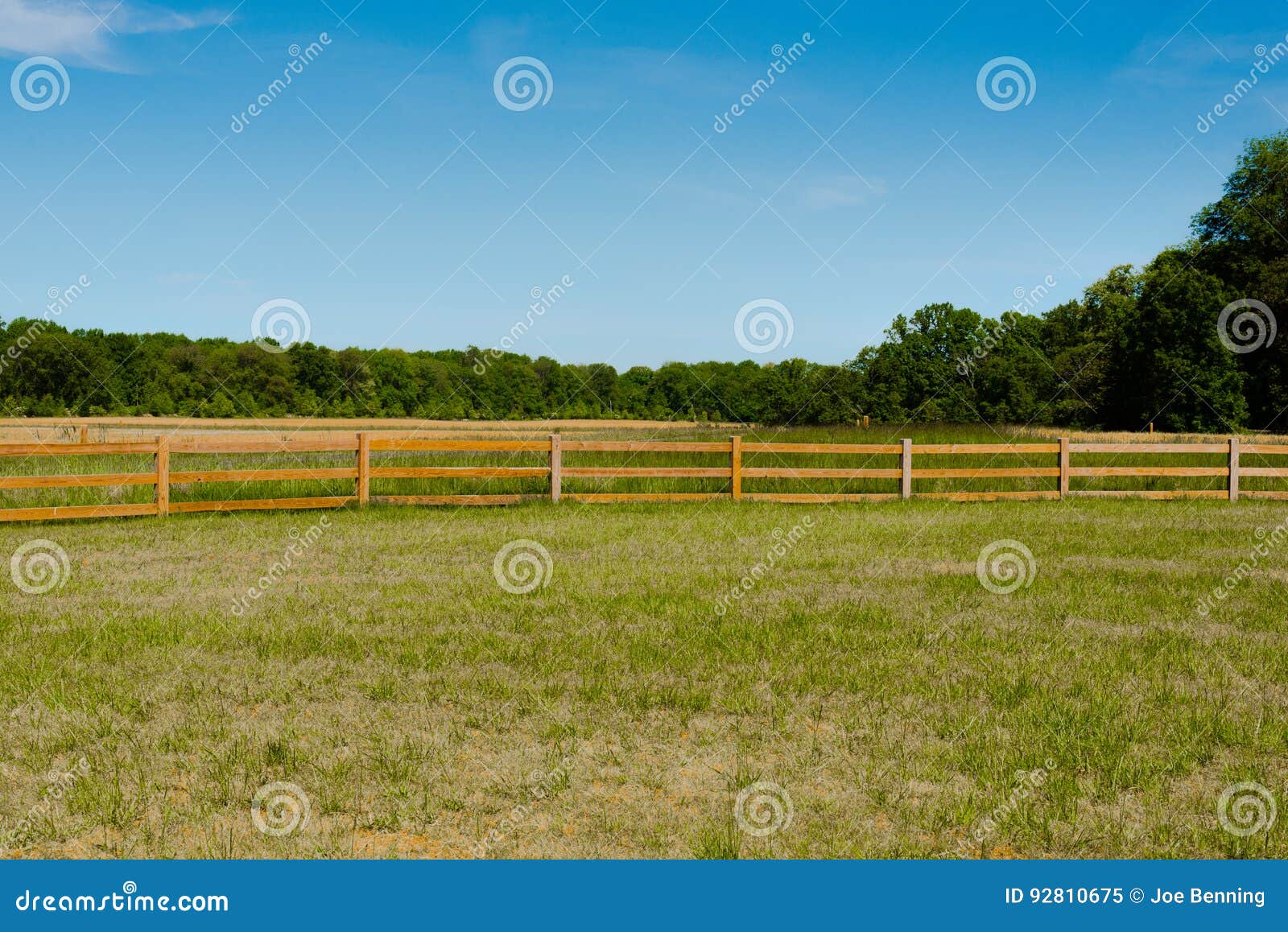 Fenced in Meadow stock image. Image of grass, green, treeline - 92810675