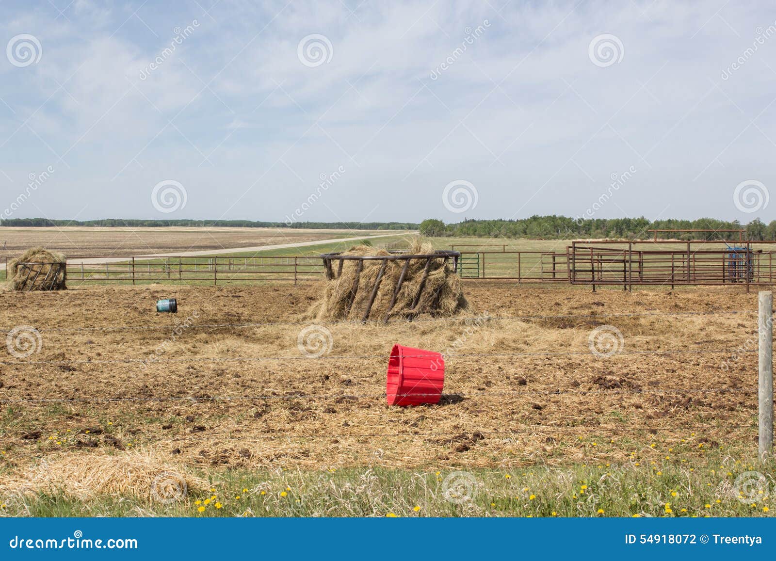 Fenced pasture stock photo. Image of plant, natural, countryside - 54918072