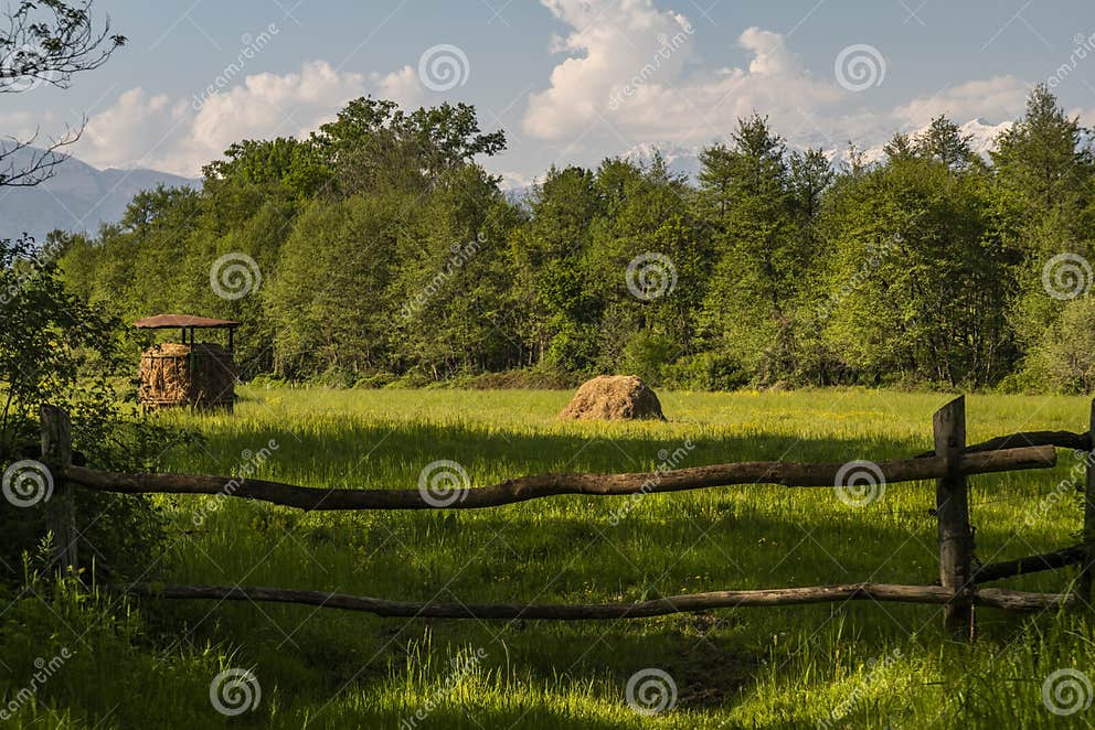 Fenced Pasture with Haystacks and Trees in the Distance and Clouds in ...