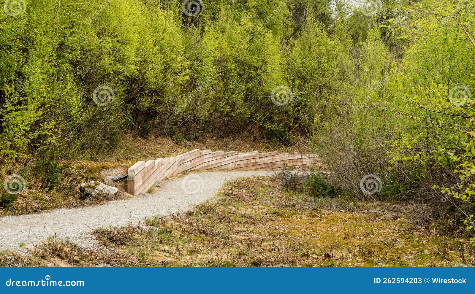 Fenced Pathway between the Green Trees Stock Image - Image of foliage ...