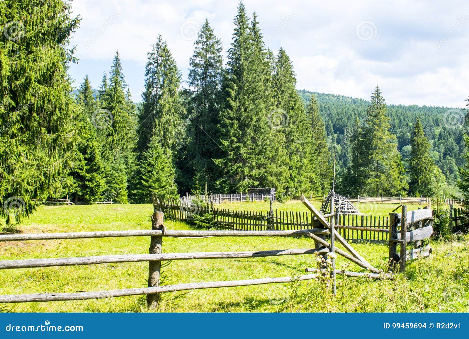 Fenced Plot Near the Forest Stock Photo - Image of trees, mountains ...