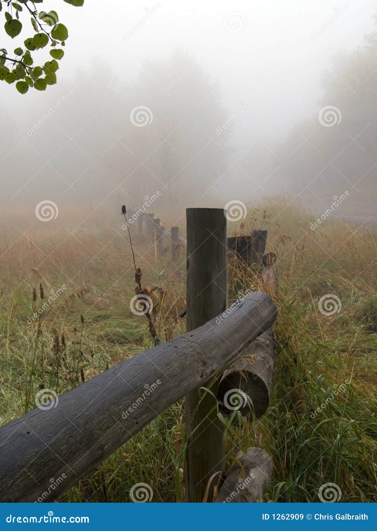 Fenceline in fog stock image. Image of clouds, mist, fence - 1262909