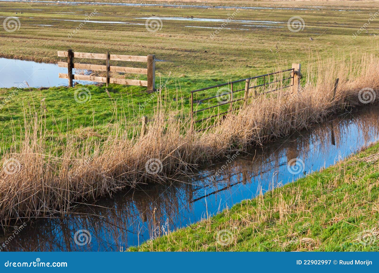 Fences in a Dutch Natural Landscape Stock Image - Image of perfectly ...