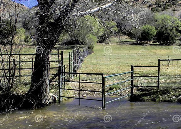 Fences Everywhere stock image. Image of river, meadow - 94892733