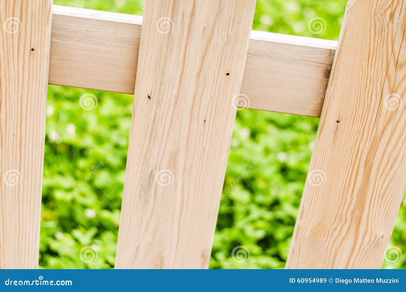 Fench stock image. Image of poles, boudary, wooden, green - 60954989