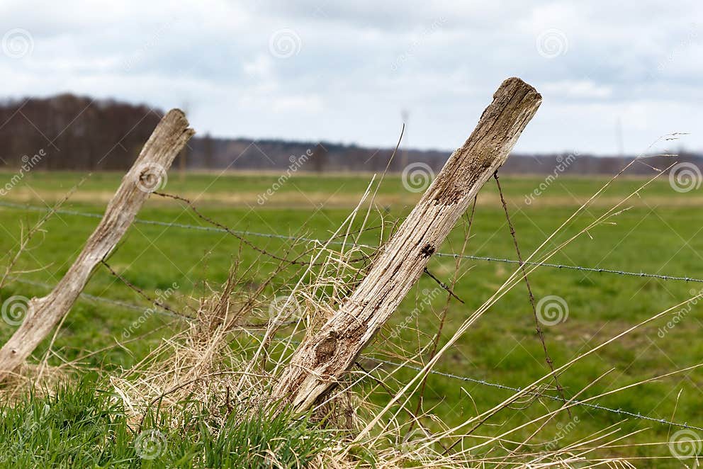 Fencing posts stock image. Image of northern, fencing - 24374143