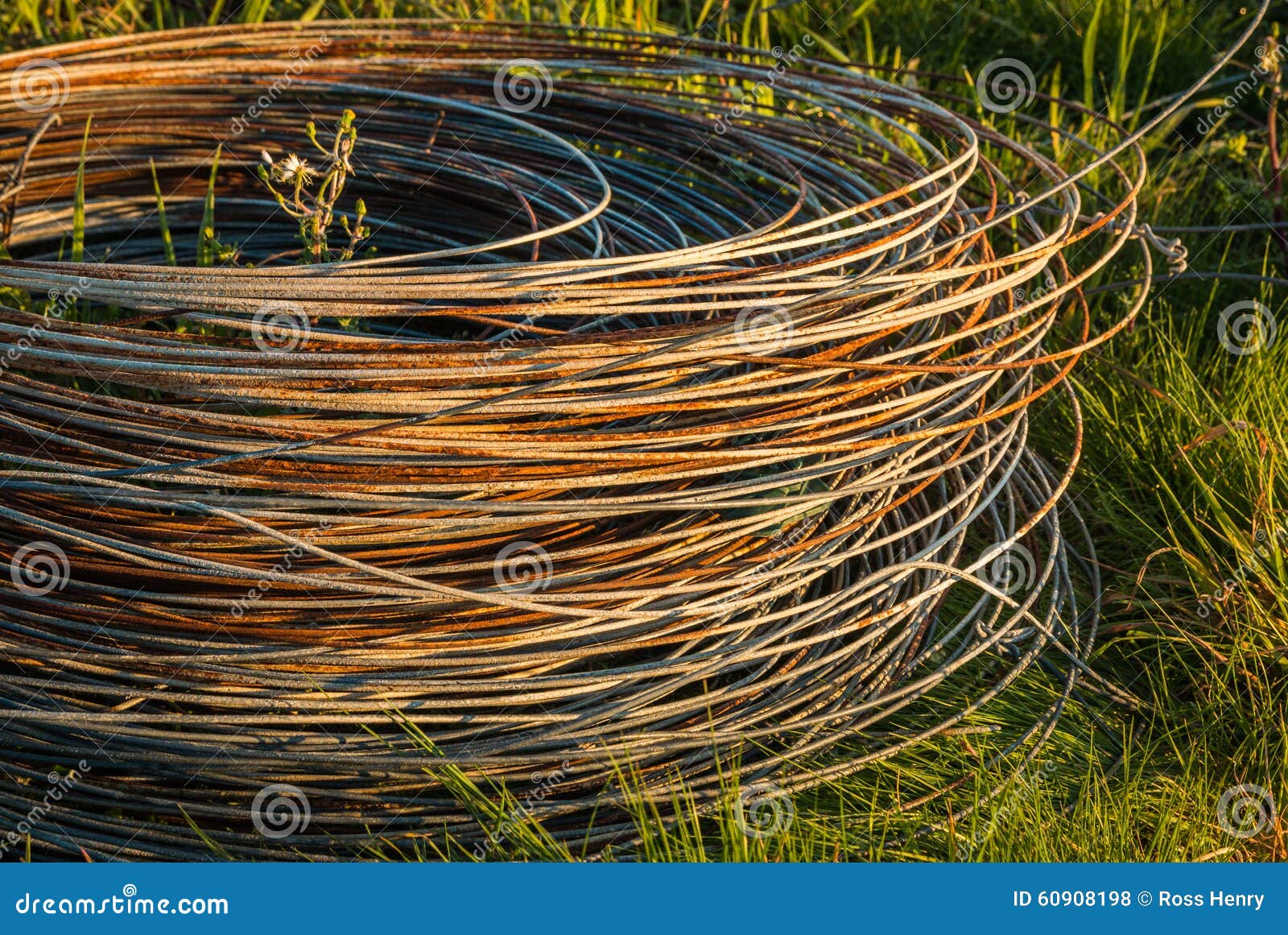 Fencing With A Wire Fence 2 M High Cereal Field Concrete Interlocking ...