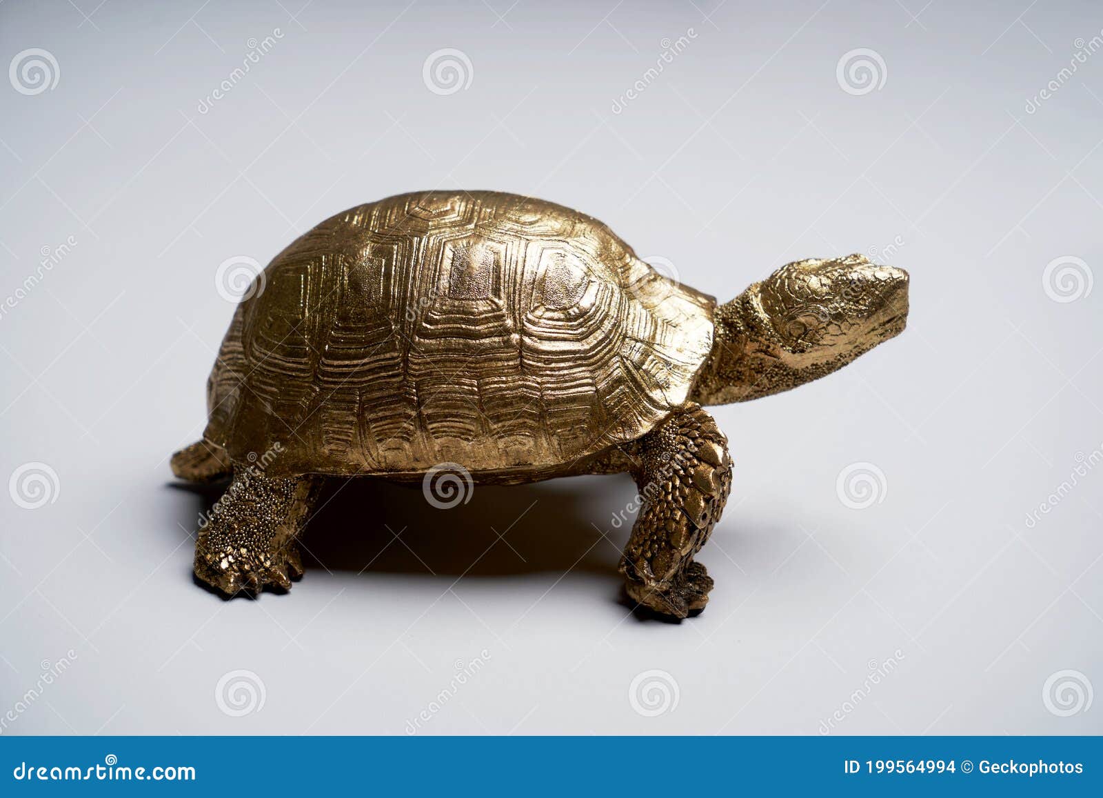 Metal Turtle Skin Texture Royalty-Free Stock Image | CartoonDealer.com ...