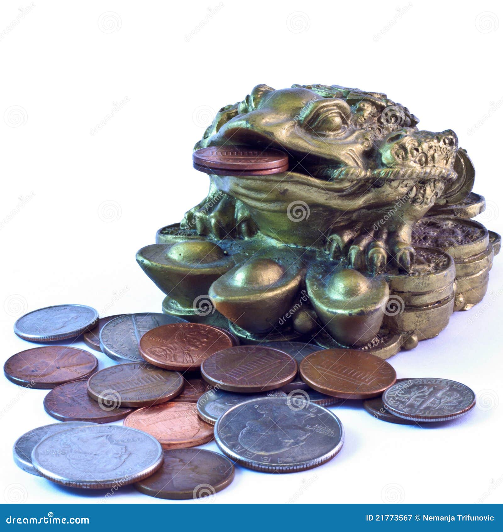 Feng Shui money frog stock image. Image of frog, shui - 21773567
