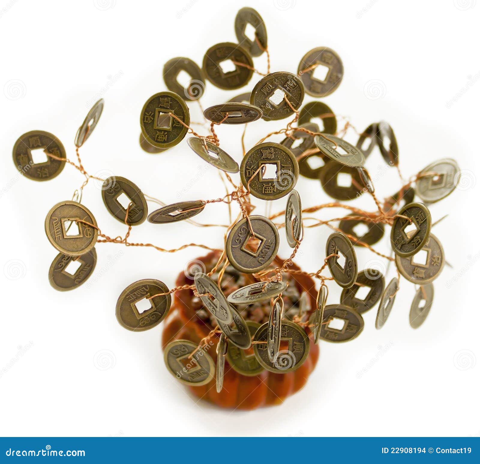 Feng Shui Money Tree stock photo. Image of symbol, leaves - 22908194