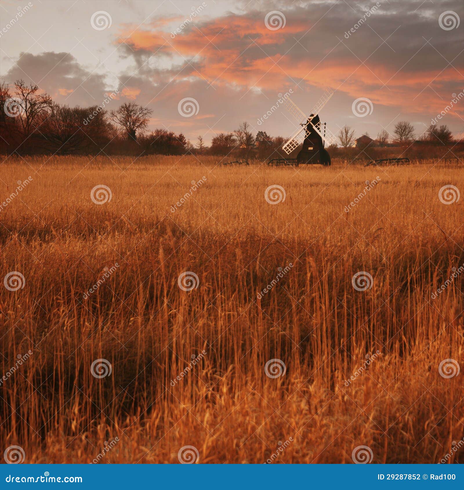 Fenland in Cambridgeshire, England Stock Photo - Image of grass, rural ...
