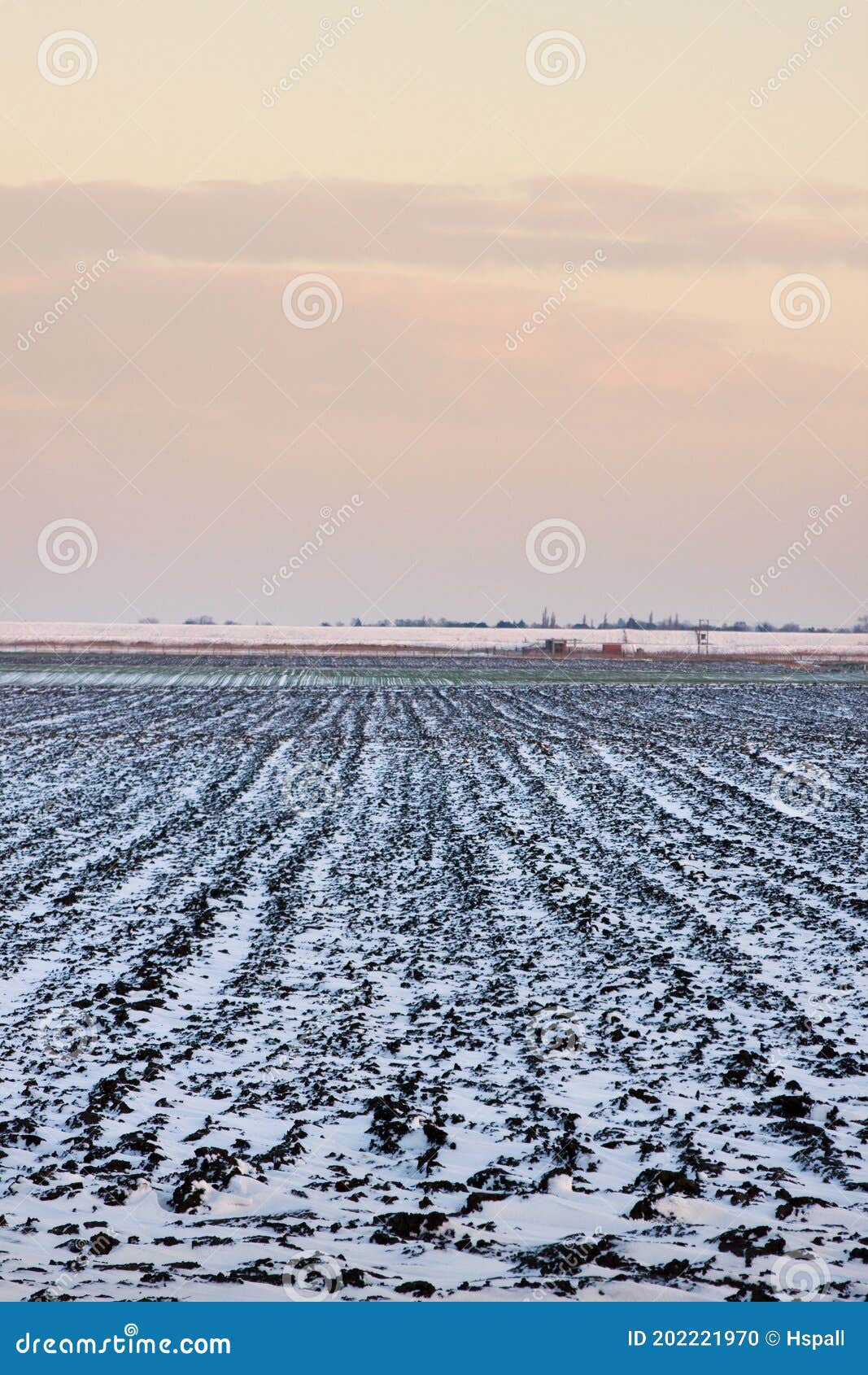 Fenland Fields after Light Snowfall Stock Photo - Image of leadlines ...
