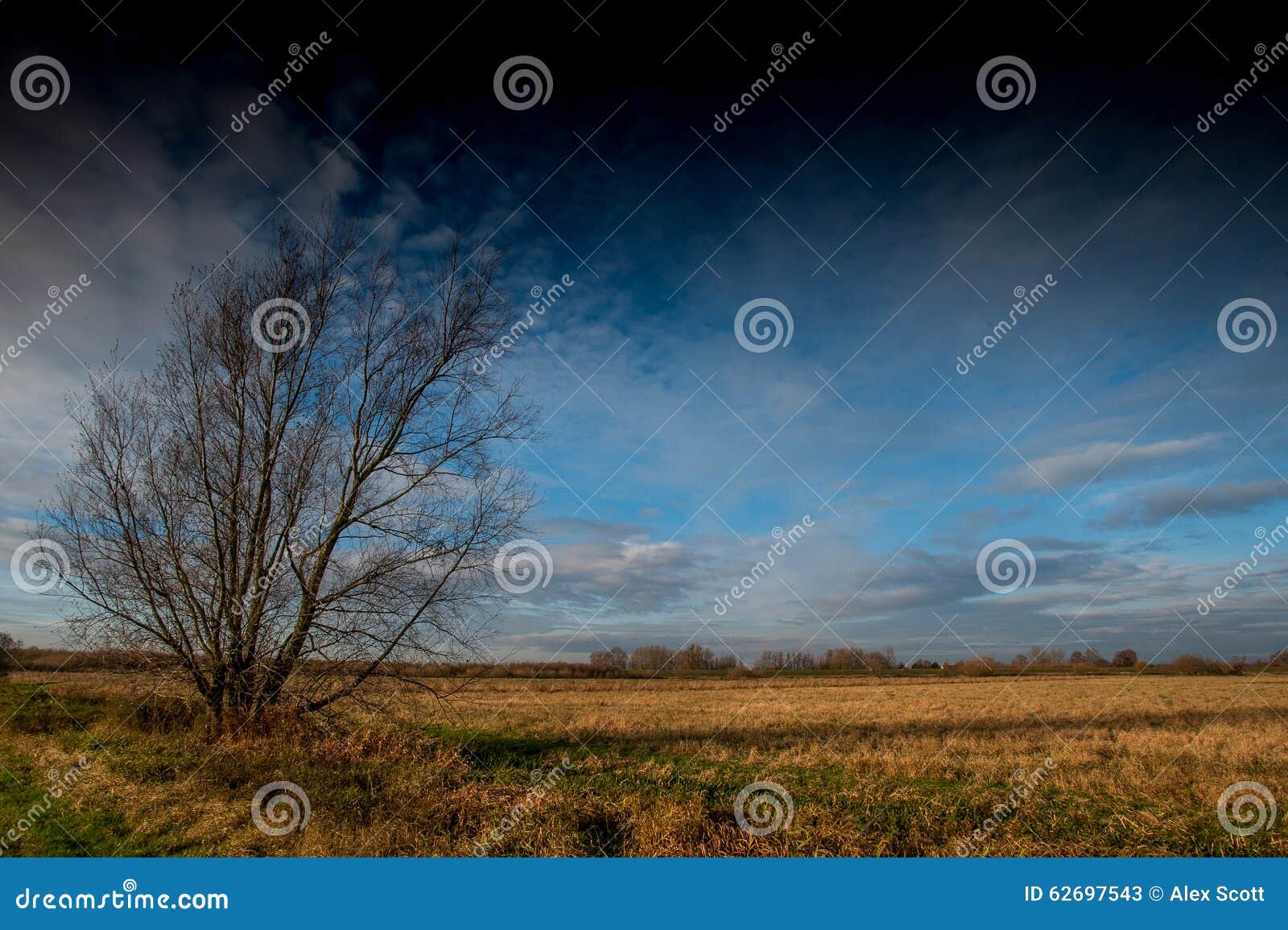 Fenland Landscape and Dramatic Sky Stock Image - Image of fields, large ...