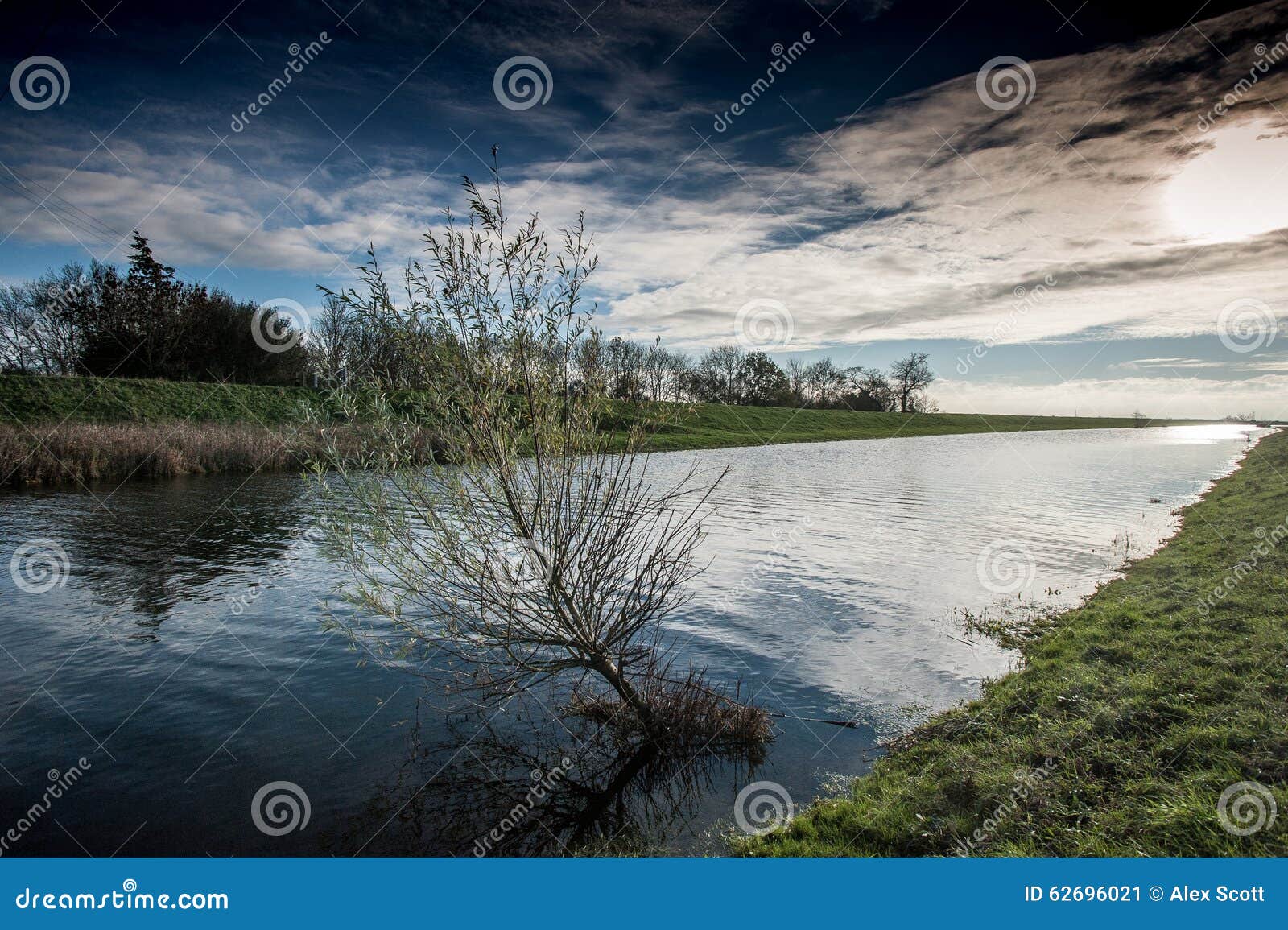 Fenland Water Channel with Tree Stock Image - Image of fens, cloud ...