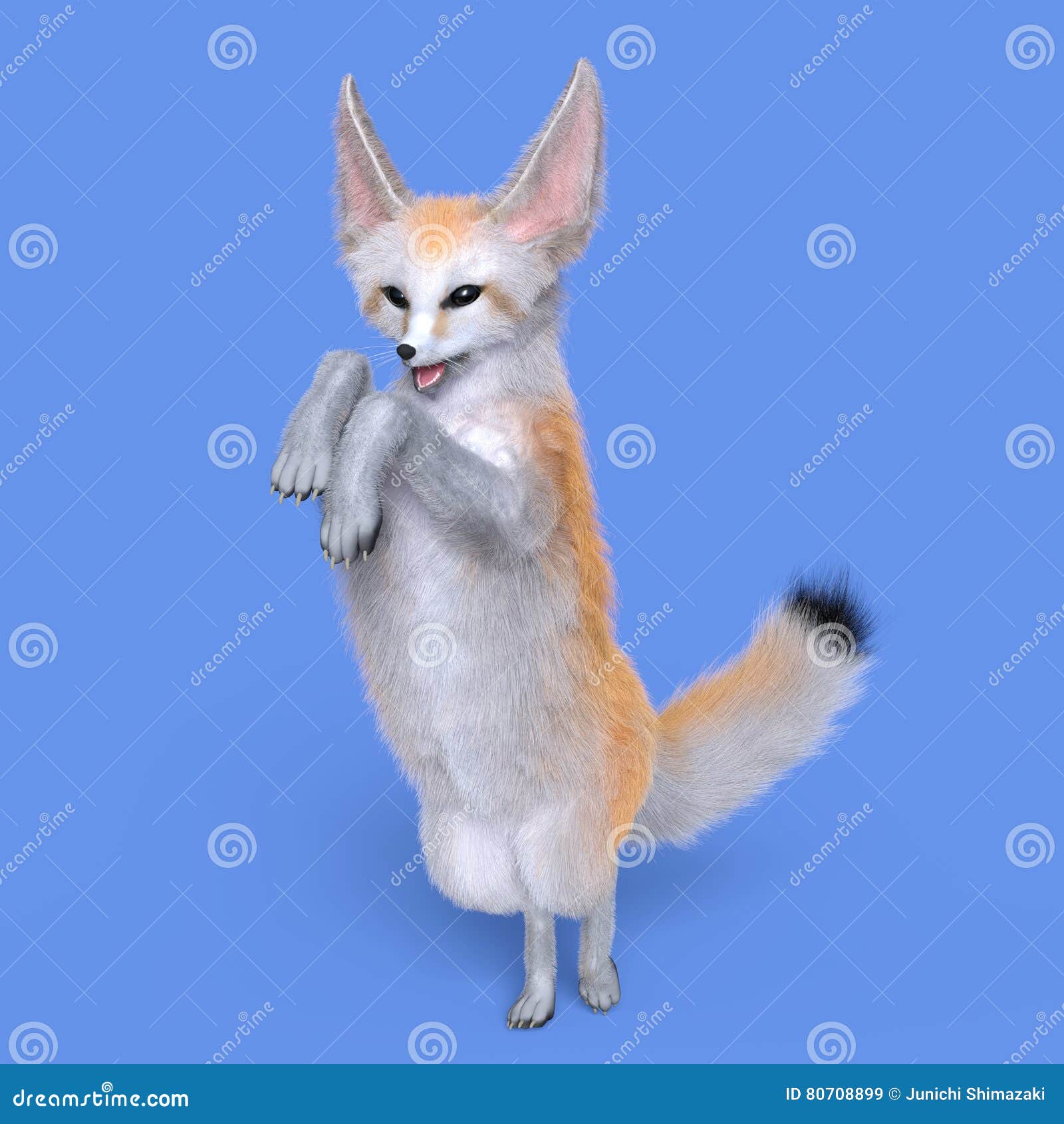 Fennec stock image. Image of mammals, fauna, tail, whiskers - 80708899