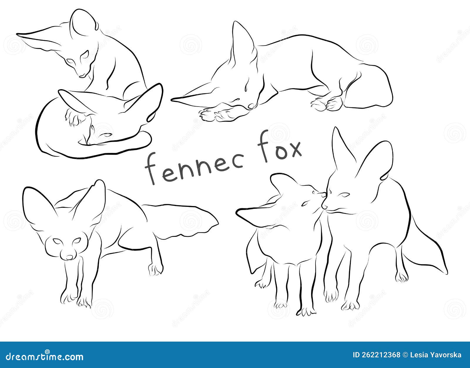 Fennec Fox Set Outline Illustration Vector Stock Vector - Illustration ...