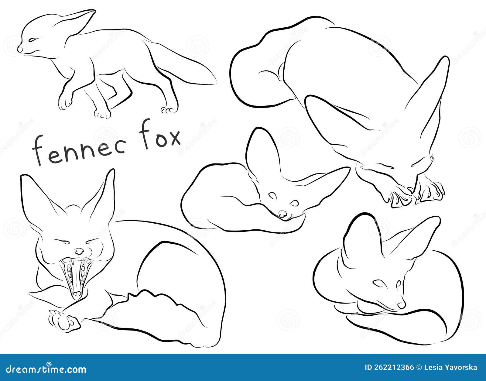 Set Fennec Fox Outline Illustration Vector Stock Vector - Illustration ...