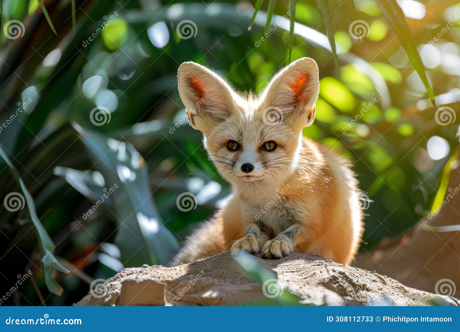 Fennec Fox is Walking on Green Natural Background . Ai Generative Stock ...