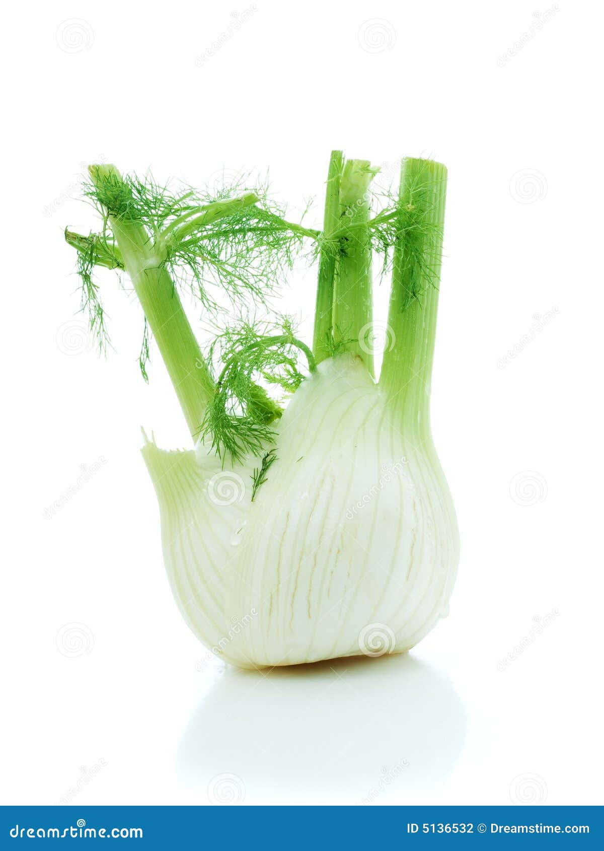 Fennel stock photo. Image of herb, fennel, vegetable, leaves - 5136532
