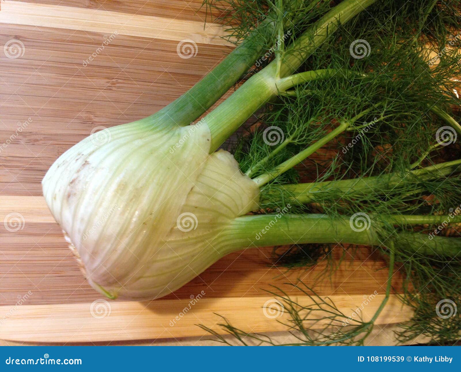 Fennel bulb stock image. Image of green, bamboo, white - 108199539