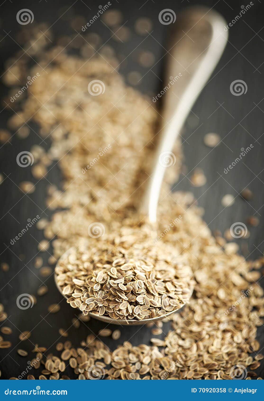 Fennel fragrant seeds. stock photo. Image of pharmacy - 70920358