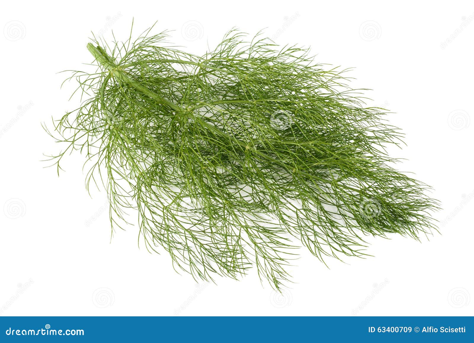 Fennel stock image. Image of natural, sprig, nature, aromatic - 63400709