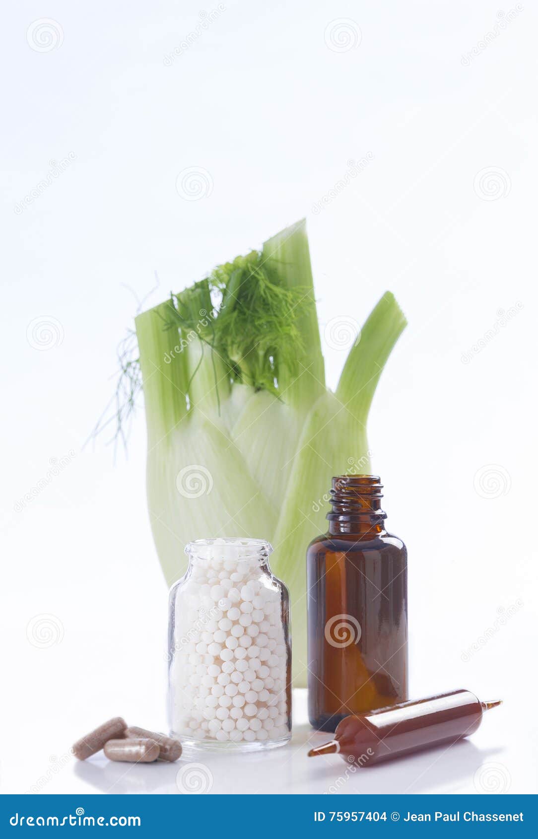 Fennel Plant Healing Herbal Medicine Stock Photo - Image of seeds ...