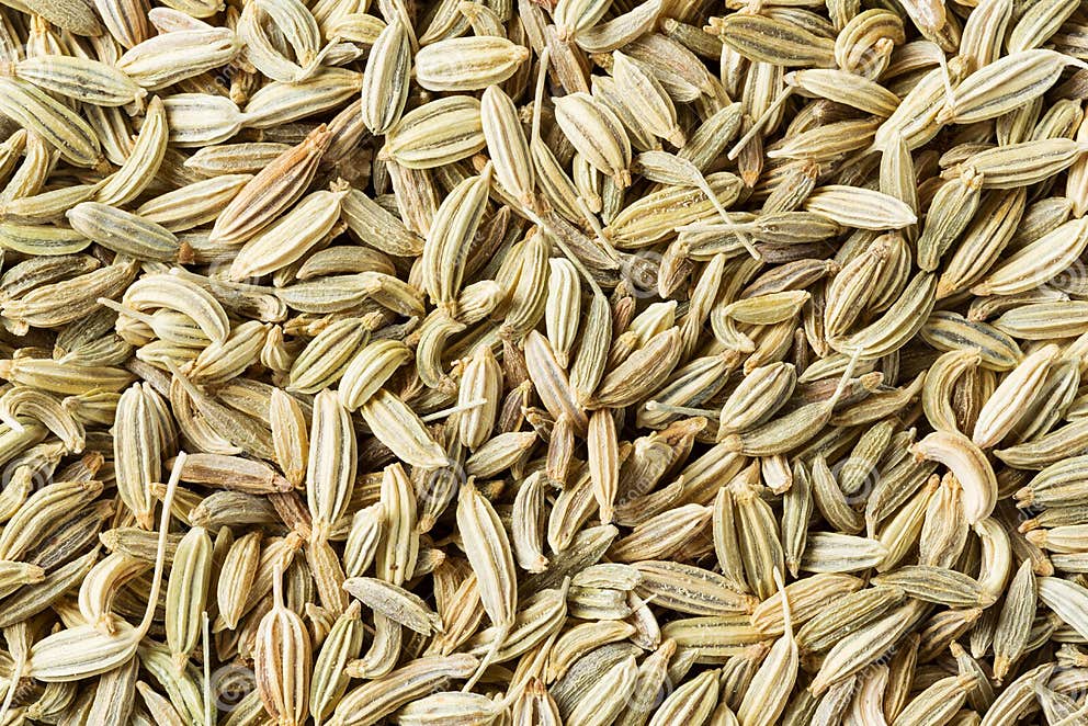 Fennel seed stock image. Image of cuisine, healthy, food - 35057905