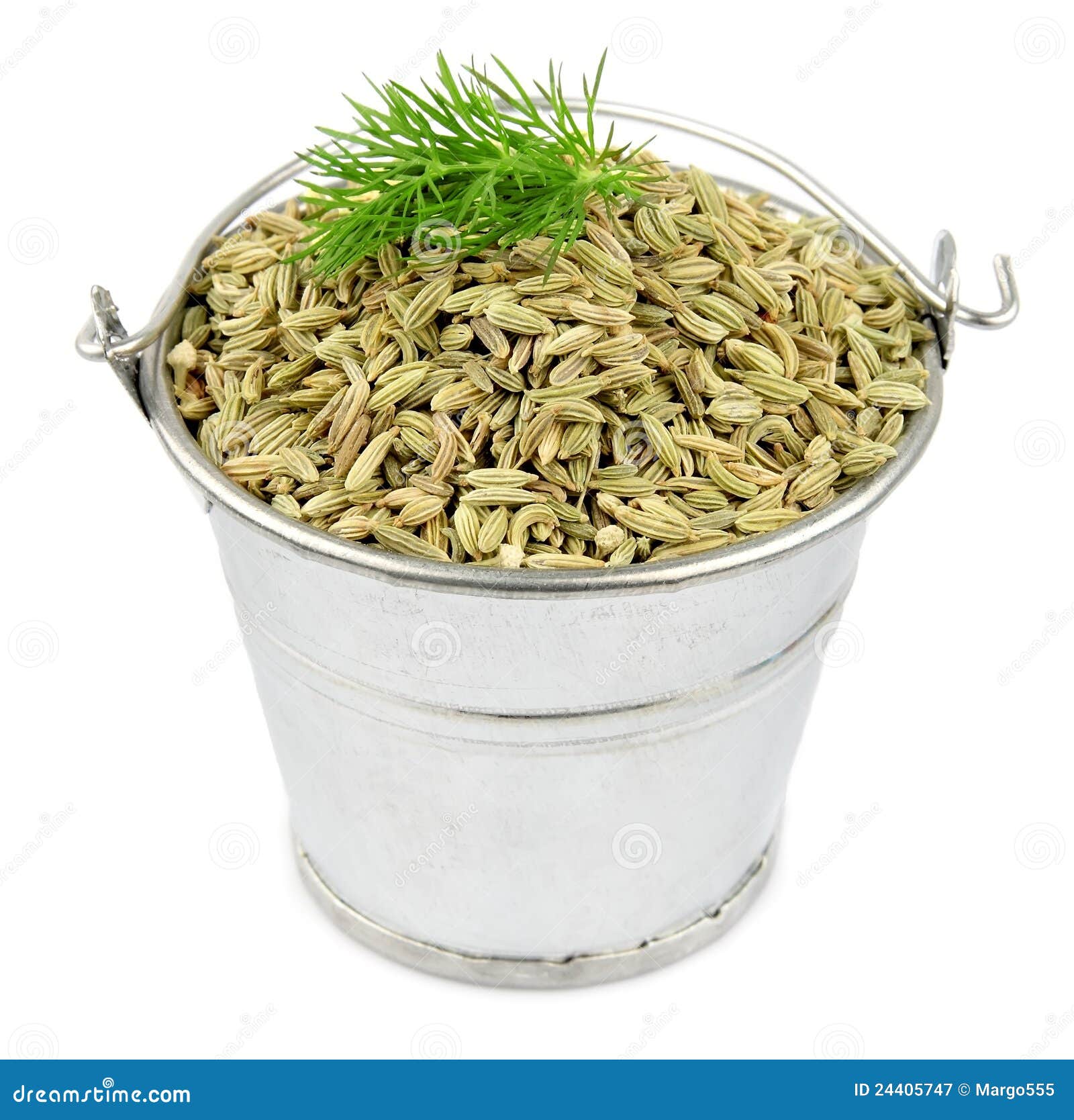 Fennel seeds in a bucket stock image. Image of cook, healthy - 24405747
