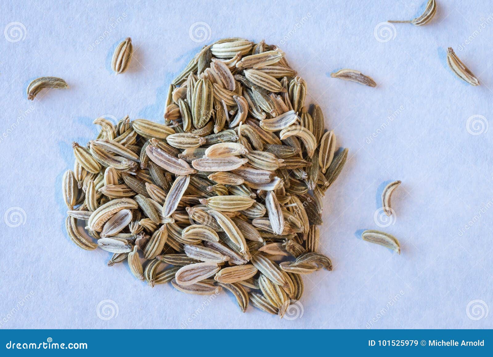 Fennel Seeds in a Heart Shape Stock Image - Image of heart, love: 101525979