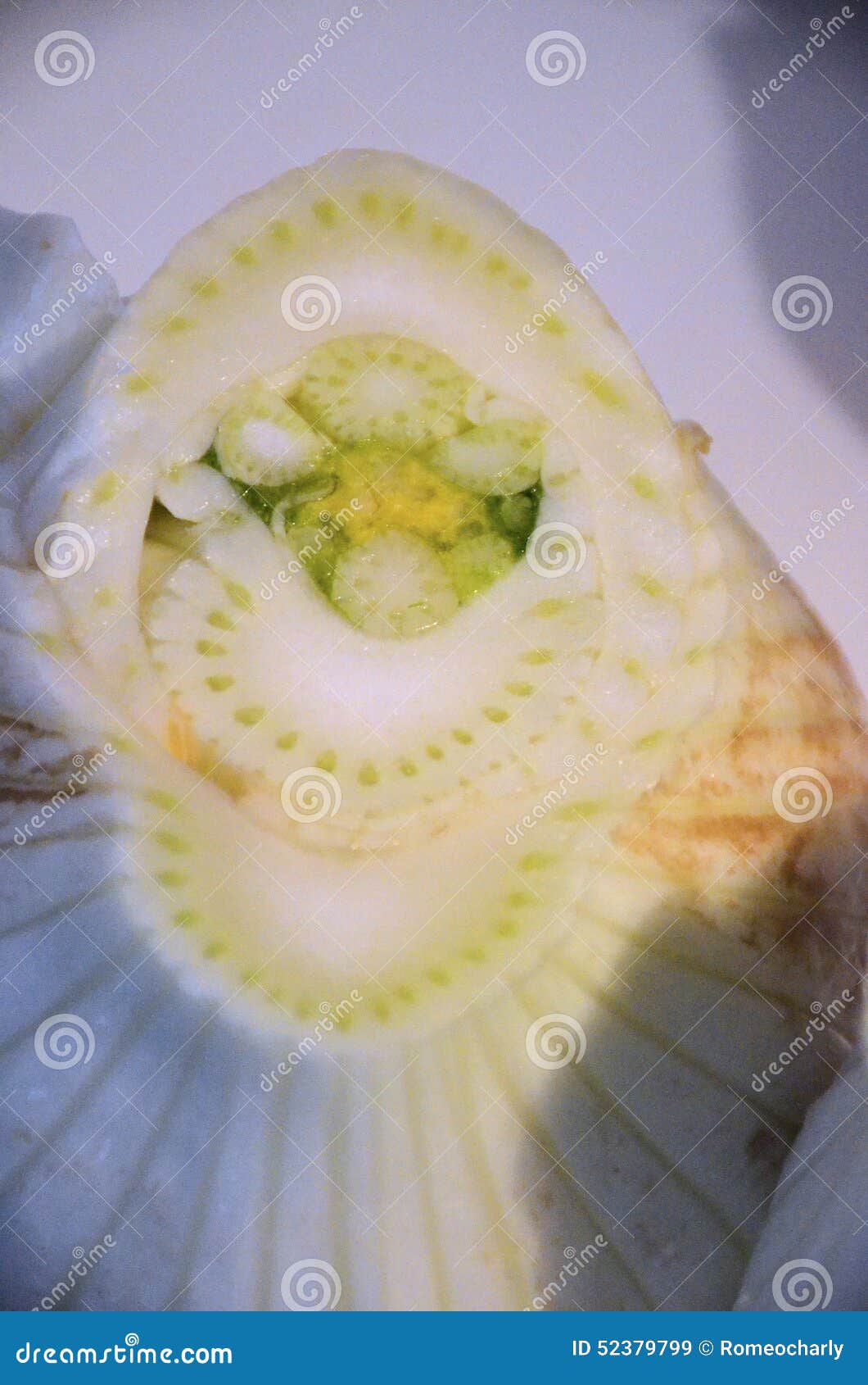 Fennel sliced stock image. Image of internal, colors - 52379799
