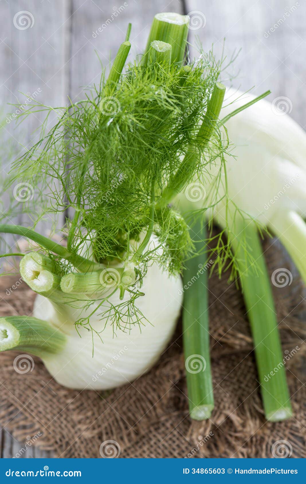 Fennel stock image. Image of freshness, natural, health - 34865603
