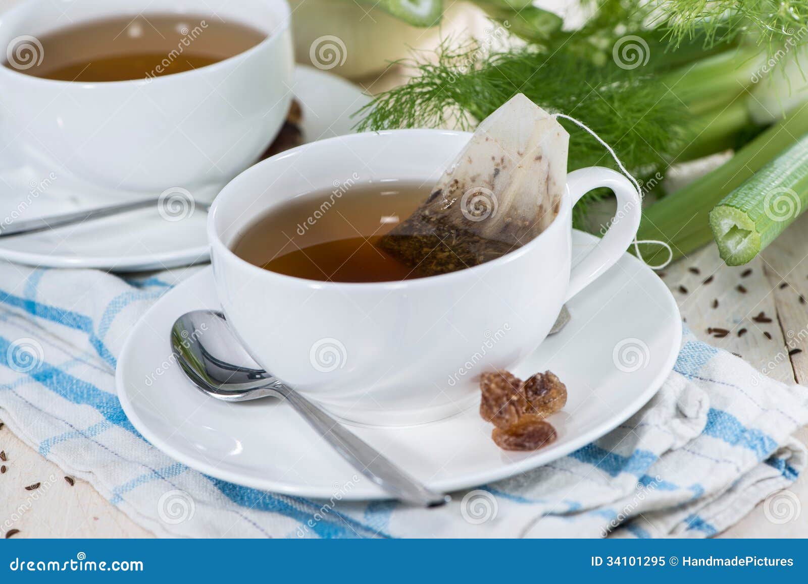 Fennel Tea stock image. Image of bulb, natural, health - 34101295