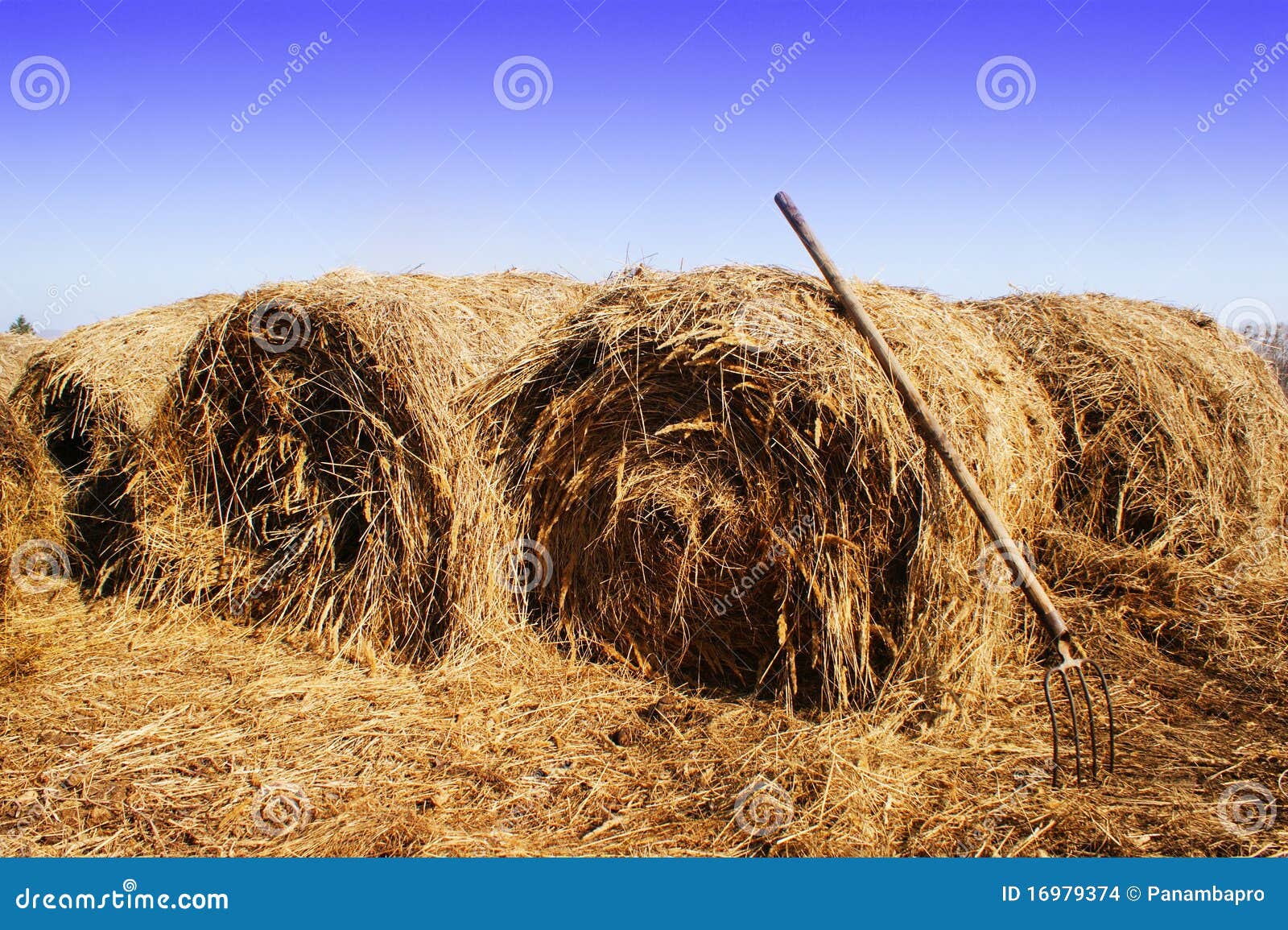 Feno foto de stock. Imagem de rolo, feno, bala, fanfarrona - 16979374