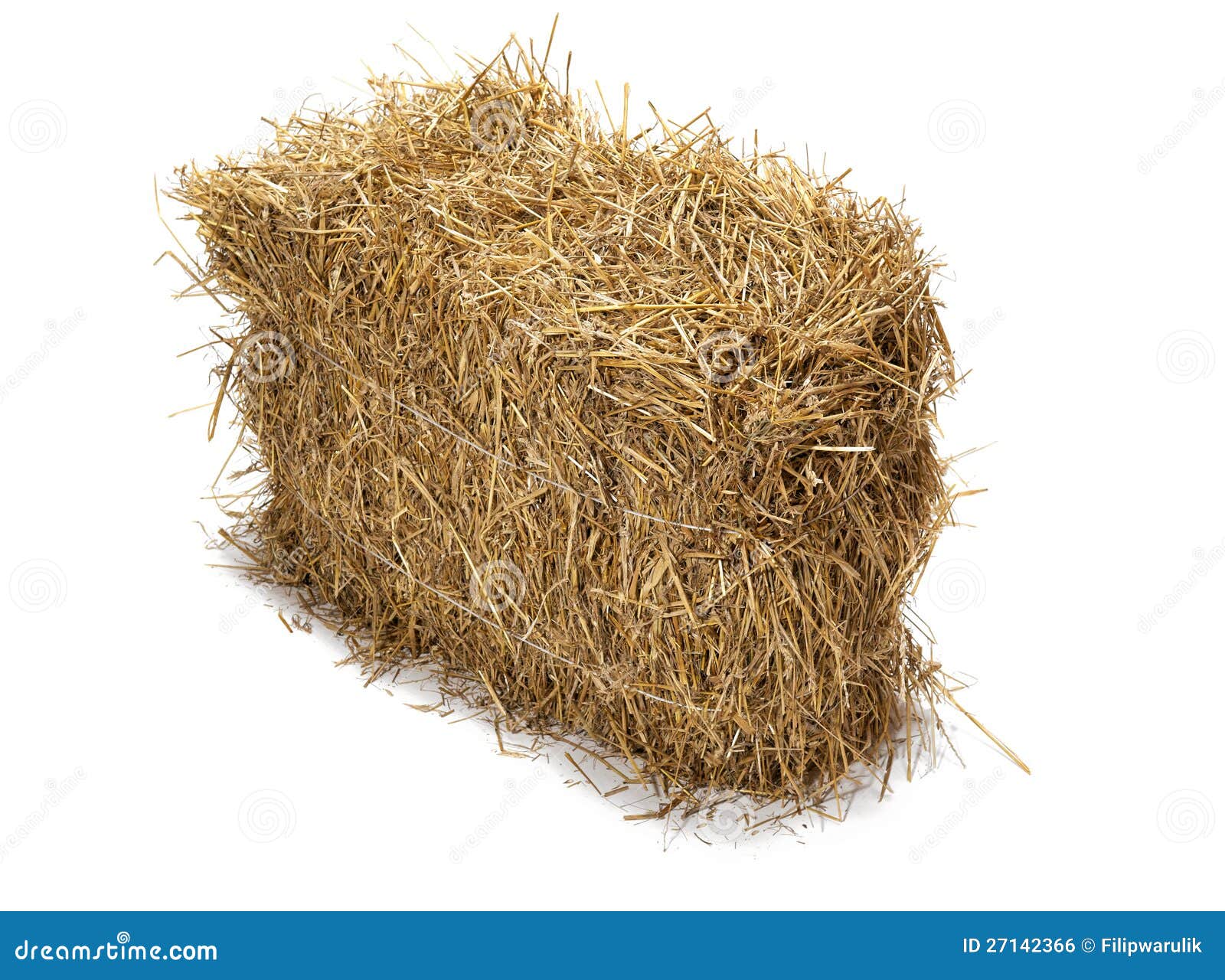 Feno foto de stock. Imagem de branco, isolado, amarelo - 27142366