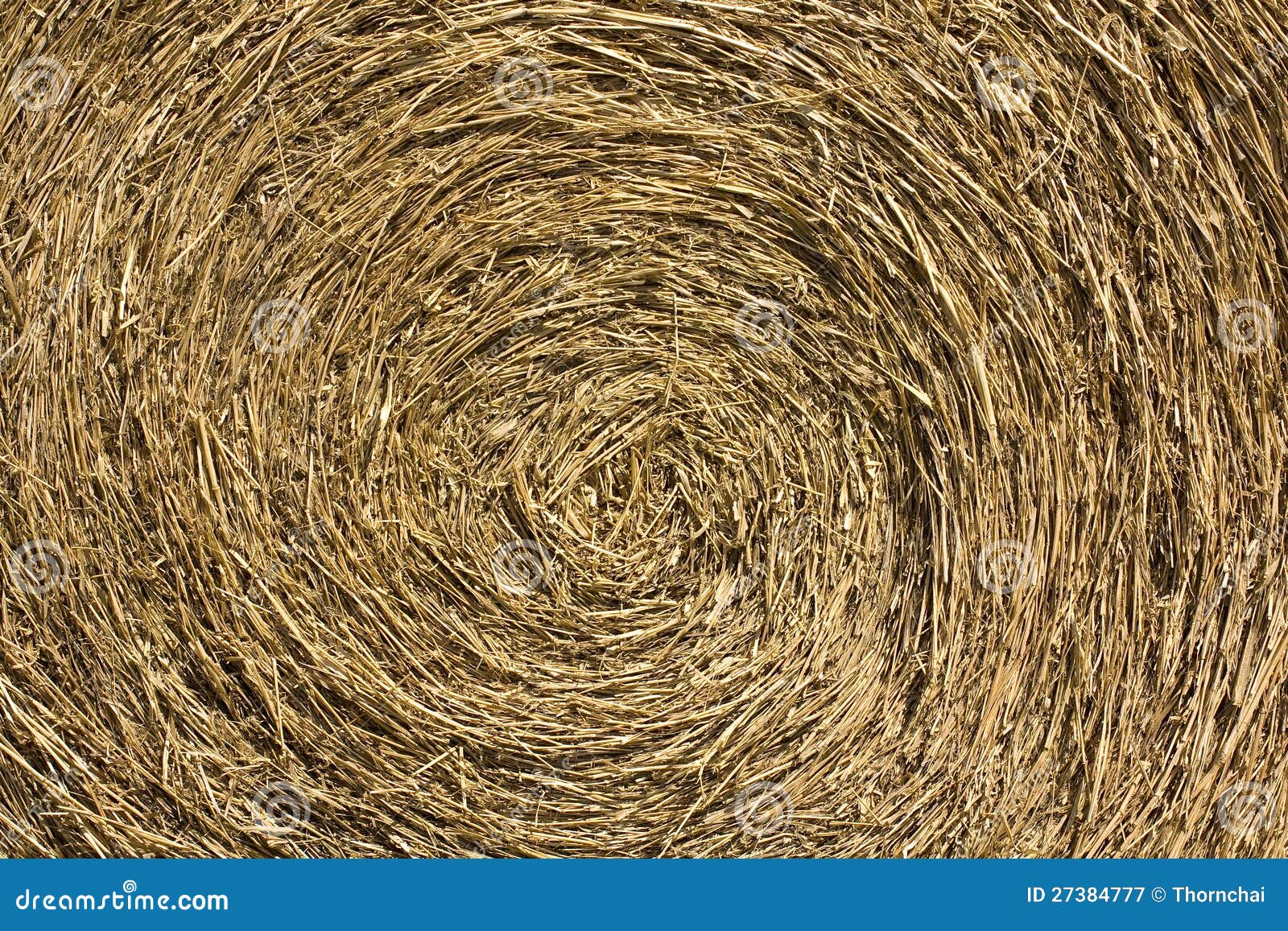 Feno do rolo imagem de stock. Imagem de doméstico, proveniência - 27384777