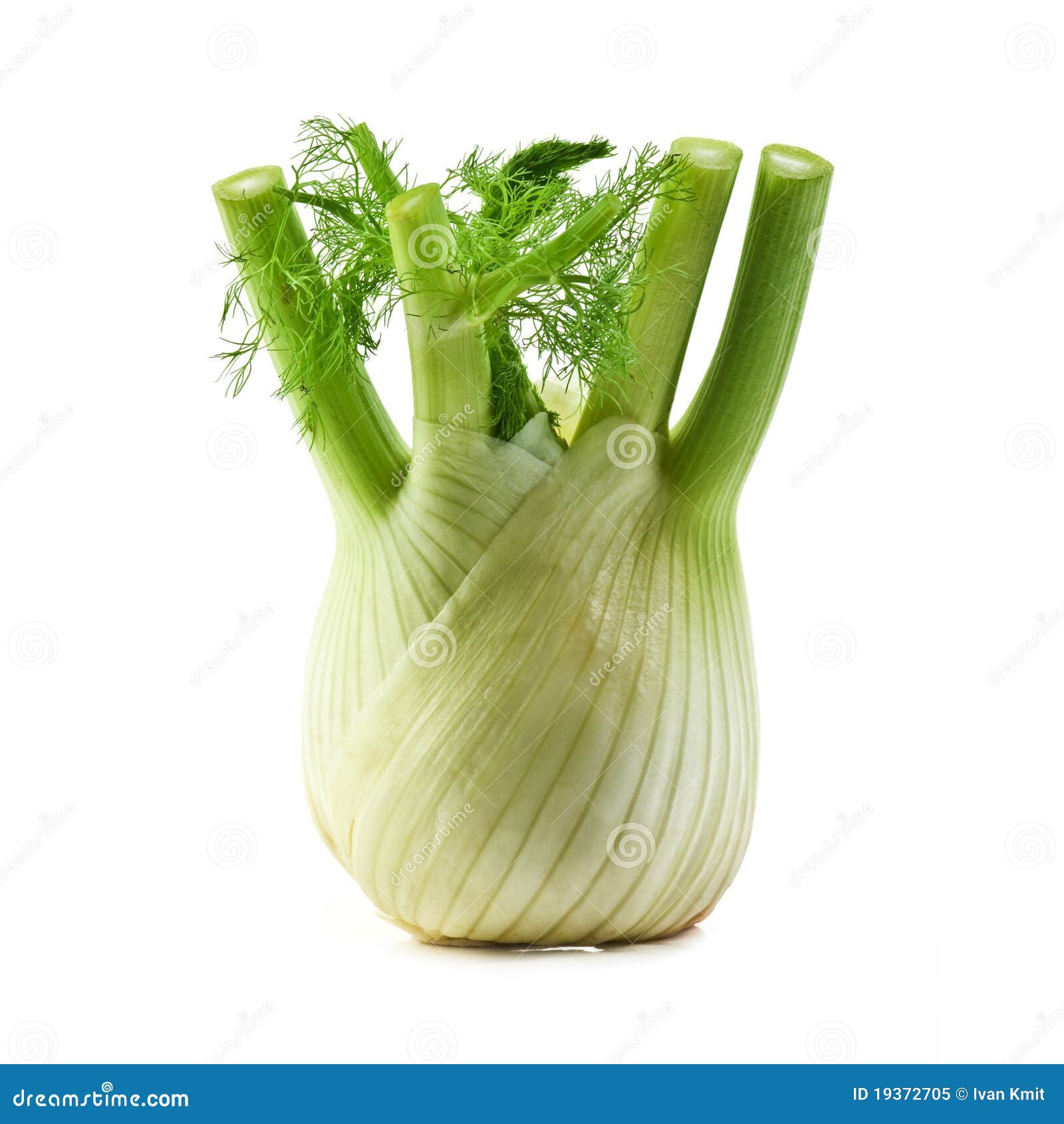Fenouil image stock. Image du lame, fond, végétarien - 19372705