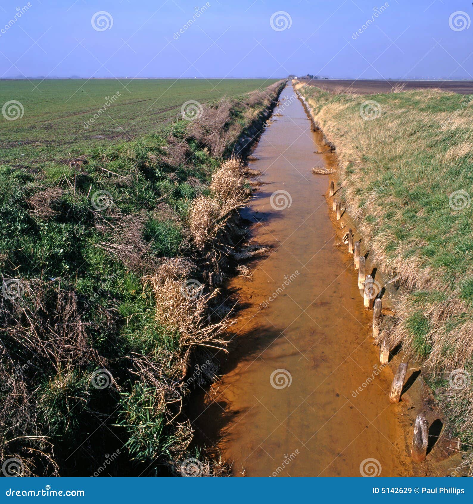 Fens stock image. Image of scenery, infinity, vacation - 5142629