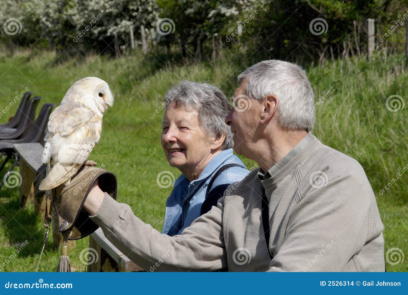 Fenton Bird of Prey Centre stock photo. Image of flight - 2526314