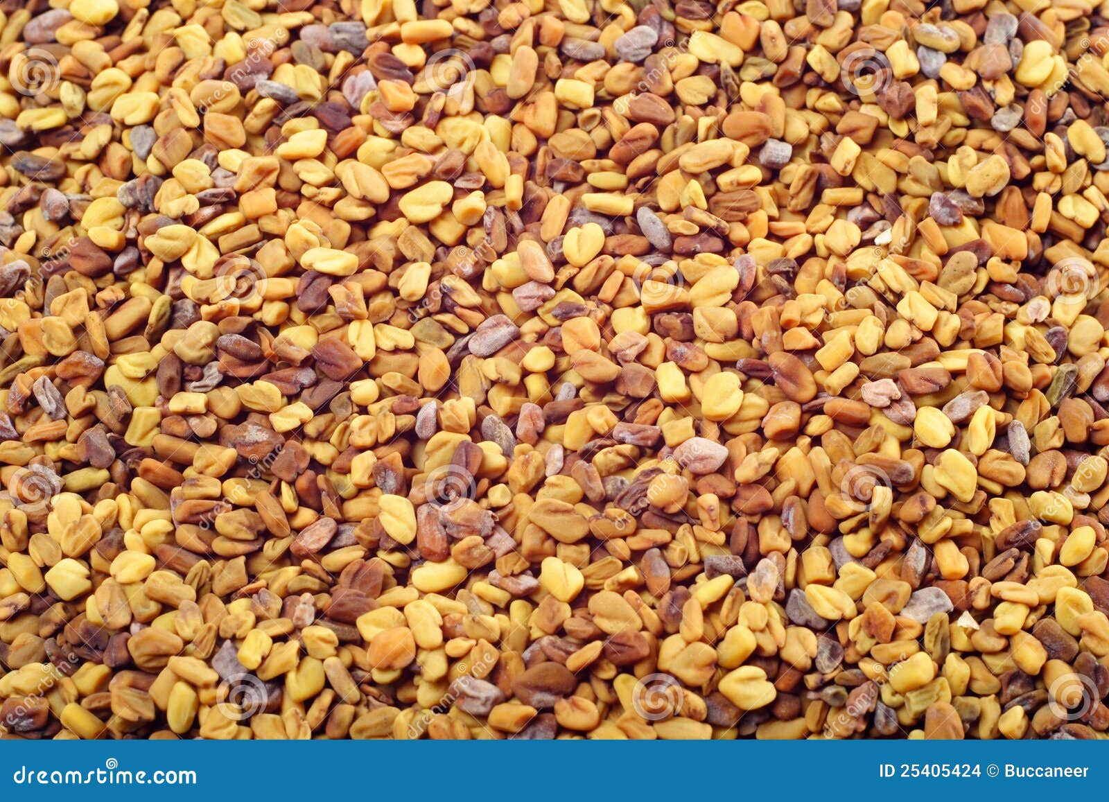 Fenugreek seeds stock photo. Image of close, closeup - 25405424
