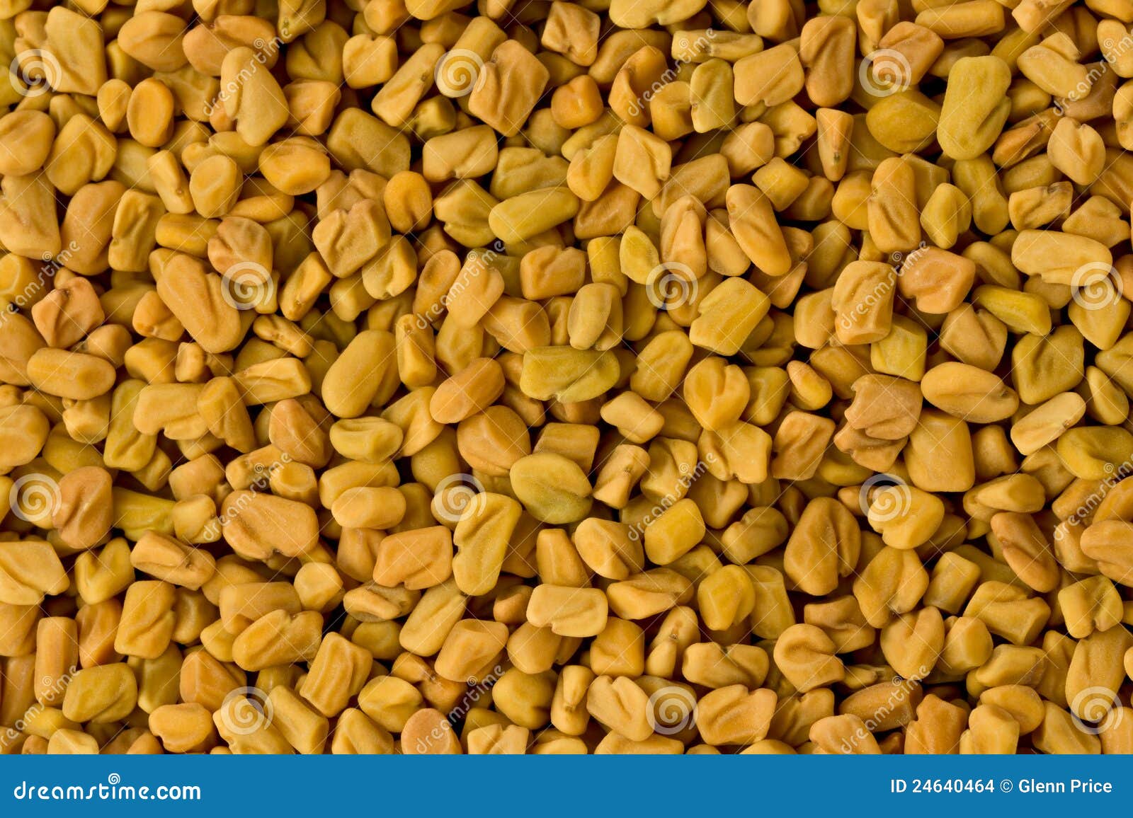 Fenugreek Seeds (Trigonella Foenum-graecum) Stock Photo - Image of ...