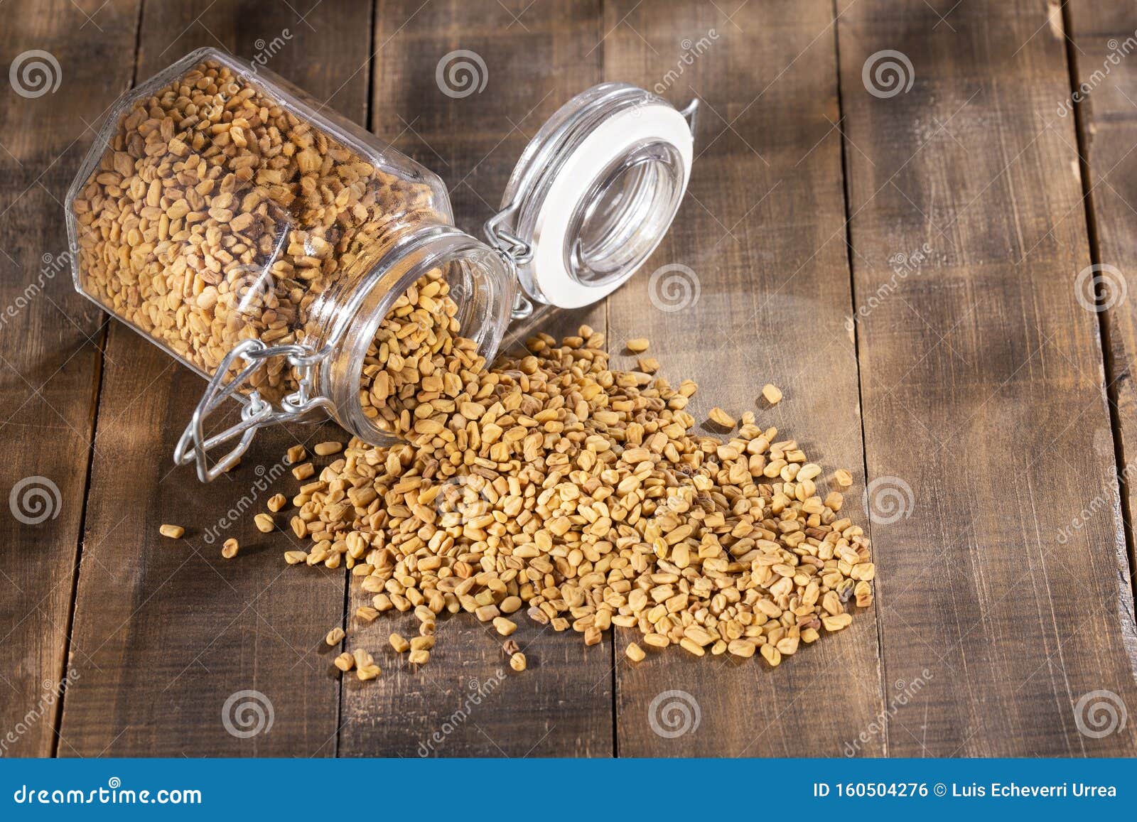 Trigonella Foenum-graecum. Fenugreek Seeds Stock Photo - Image of food ... Trigonella Foenum-graecum. Fenugreek Seeds Stock Photo - Image of food ...