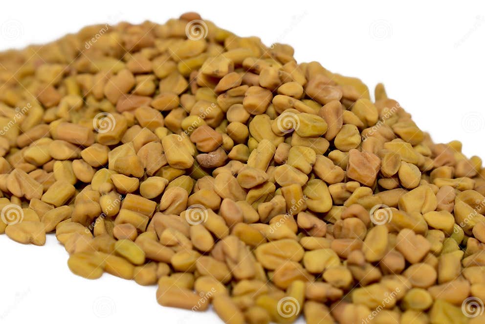Fenugreen seed stock image. Image of cuisine, closeup - 251381651