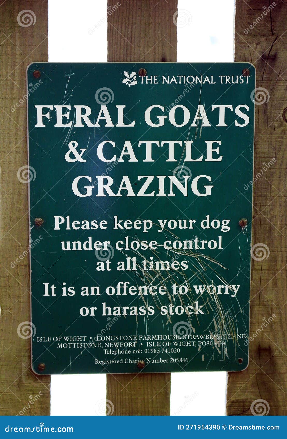 Feral Goats Sign editorial image. Image of grazing, cattle - 271954390