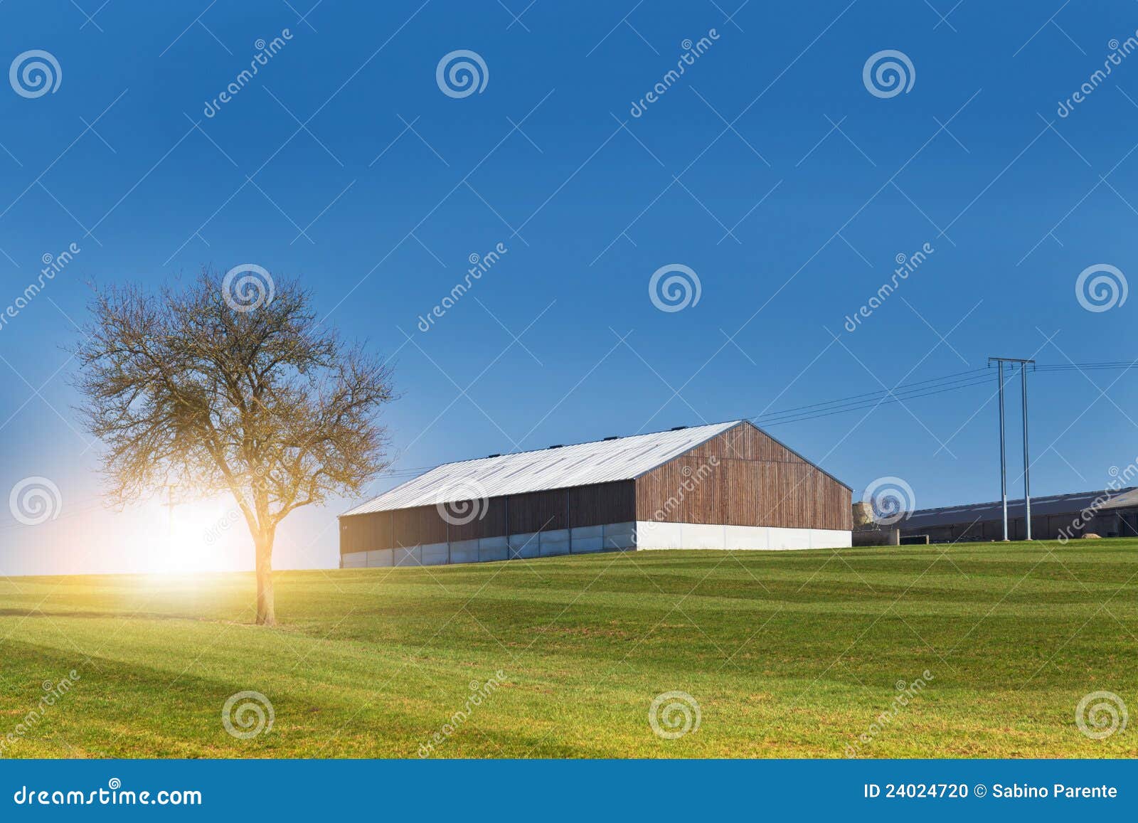 Ferme photo stock. Image du vert, nature, arbre, campagne - 24024720
